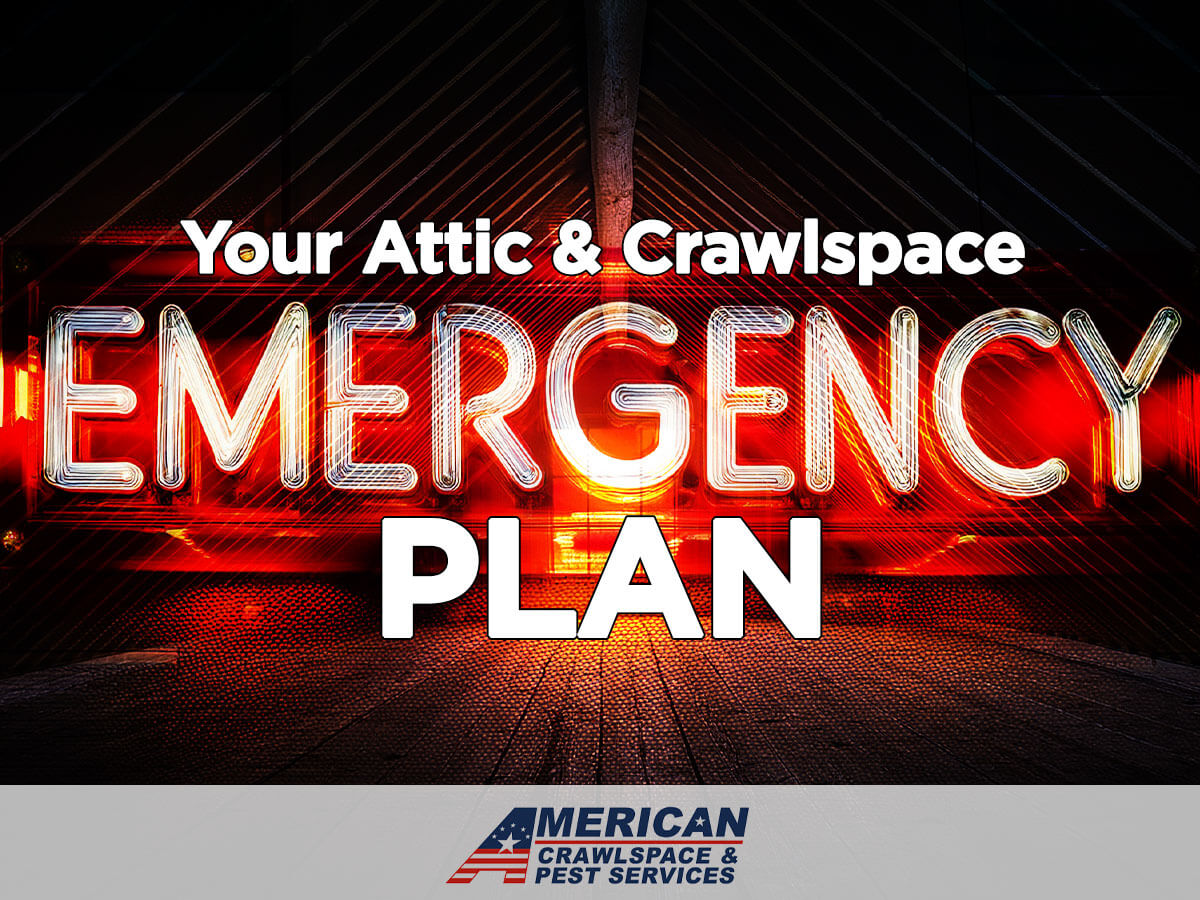 Avoid Costly Repairs: An Emergency Plan for Your Attic and Crawlspace
