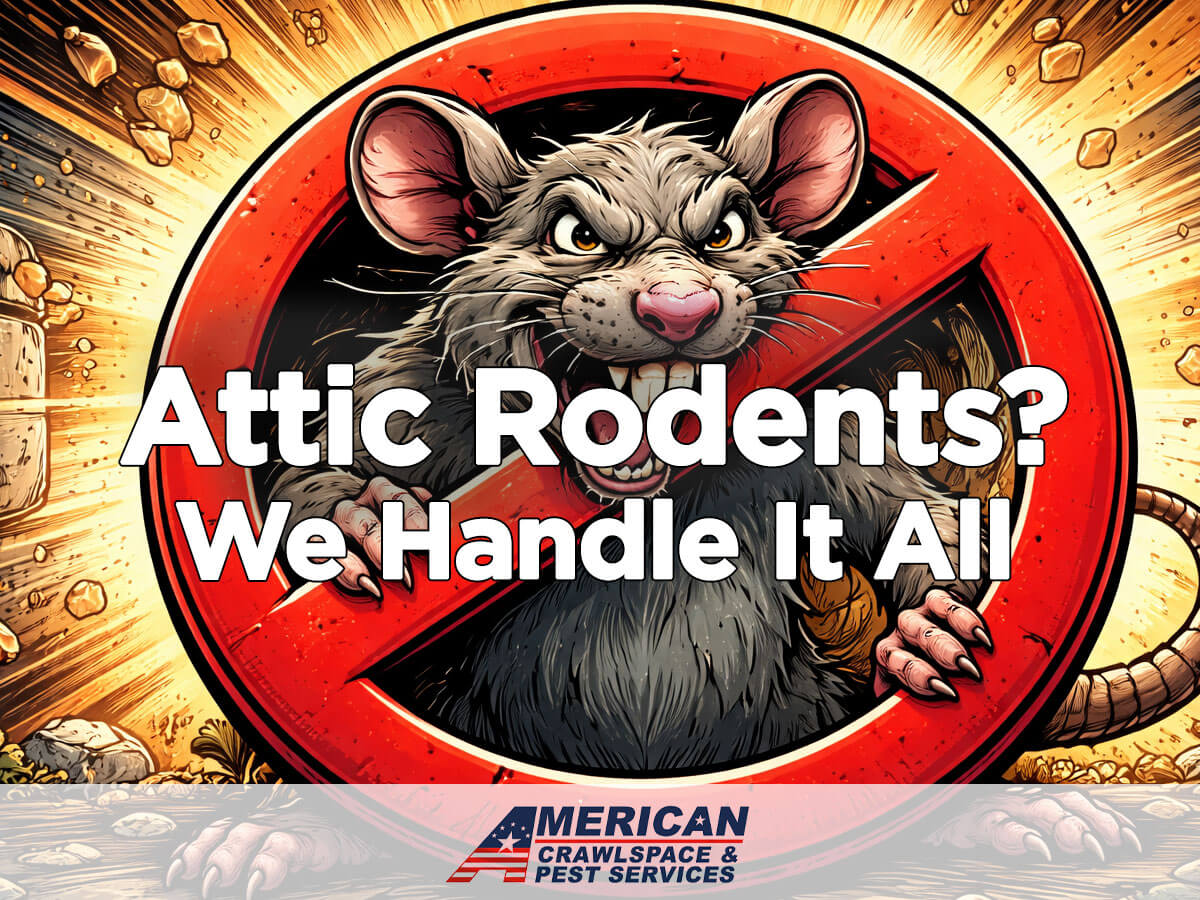 From Rodents to Peace of Mind: Lisa’s Attic Insulation Story